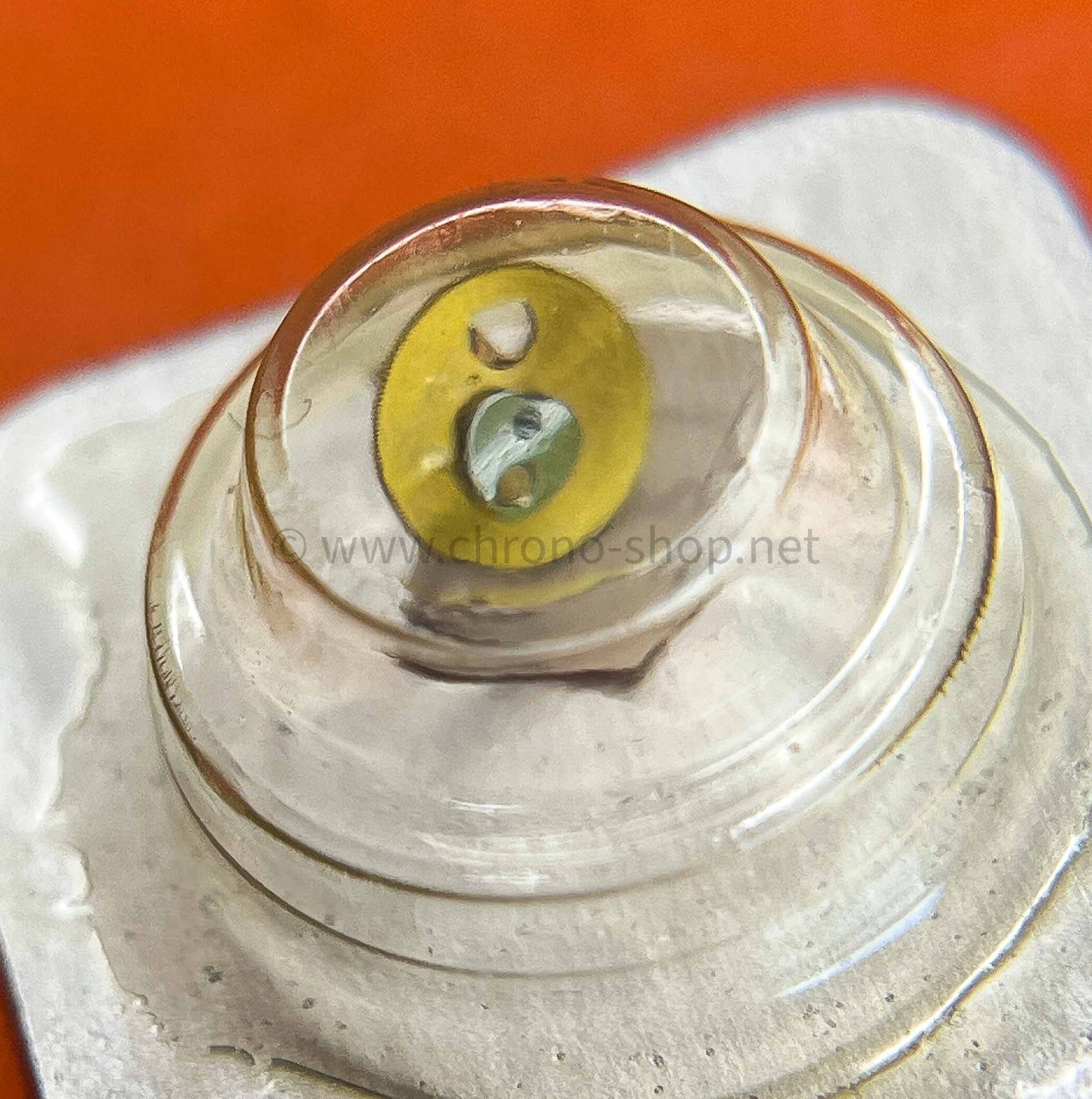 Zenith Watch Case Screws at Latoya Zell blog