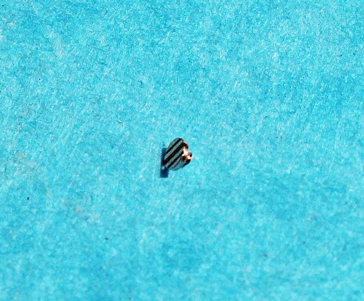 ROLEX spart 3035 caliber auto Screw for crown wheel ref 55028 New