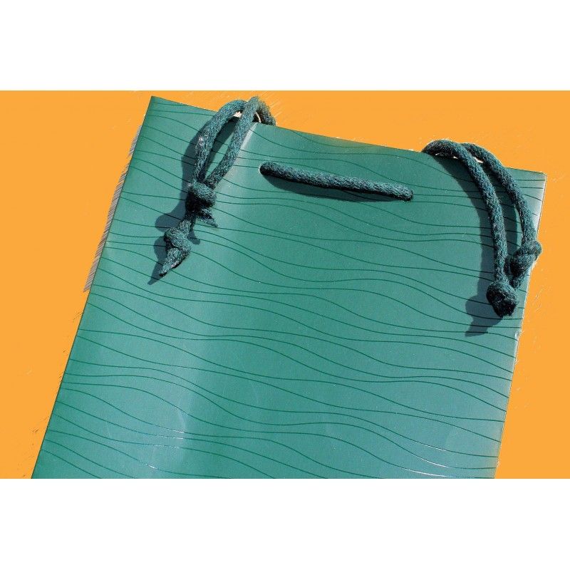 Rolex Mint Watch Dark Green Jewelers Paper Shopping Watches ...